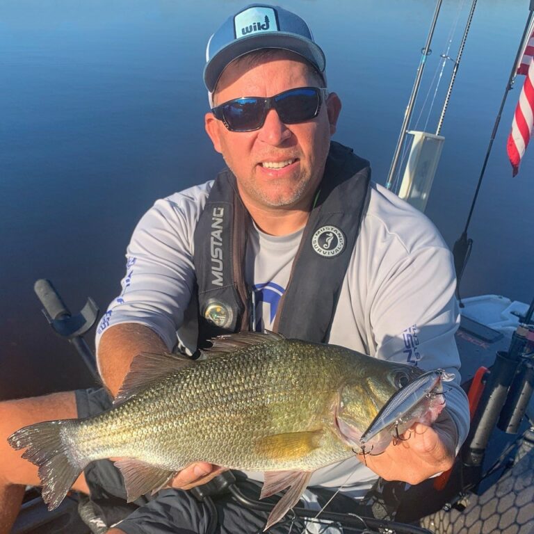 NJDEP| Fish & Wildlife | White Perch