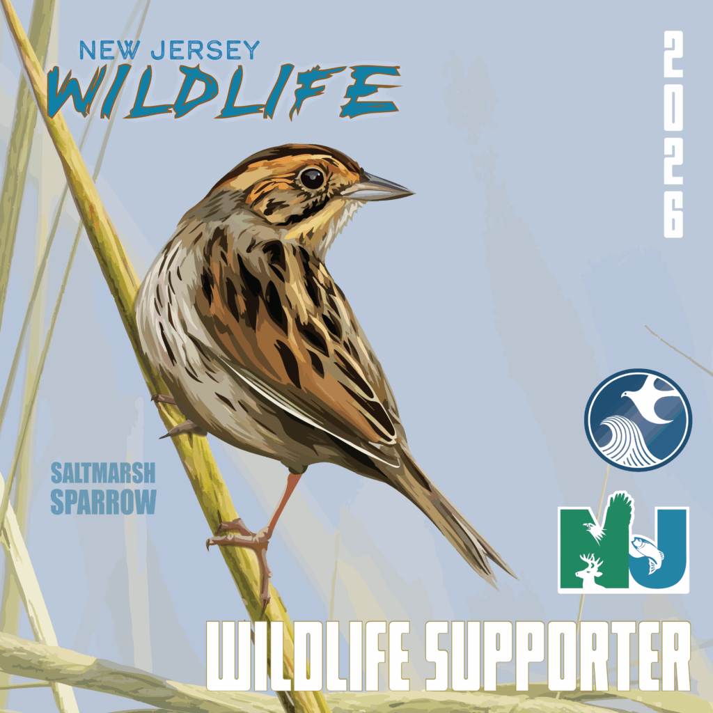 NJDEP| Fish & Wildlife | Donate Today and Get Your 2026 Wildlife ...