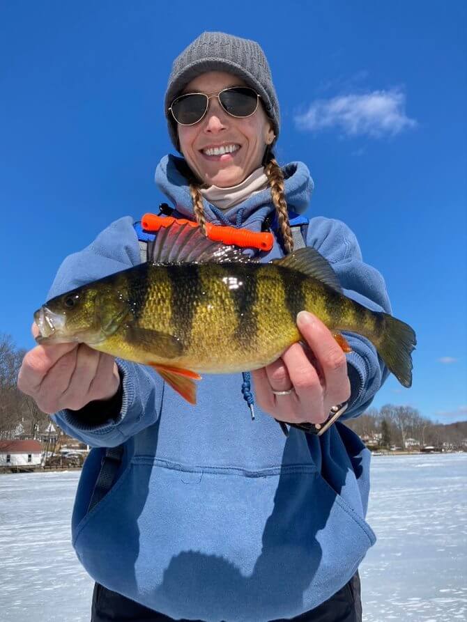 NJDEP| Fish & Wildlife | Yellow Perch