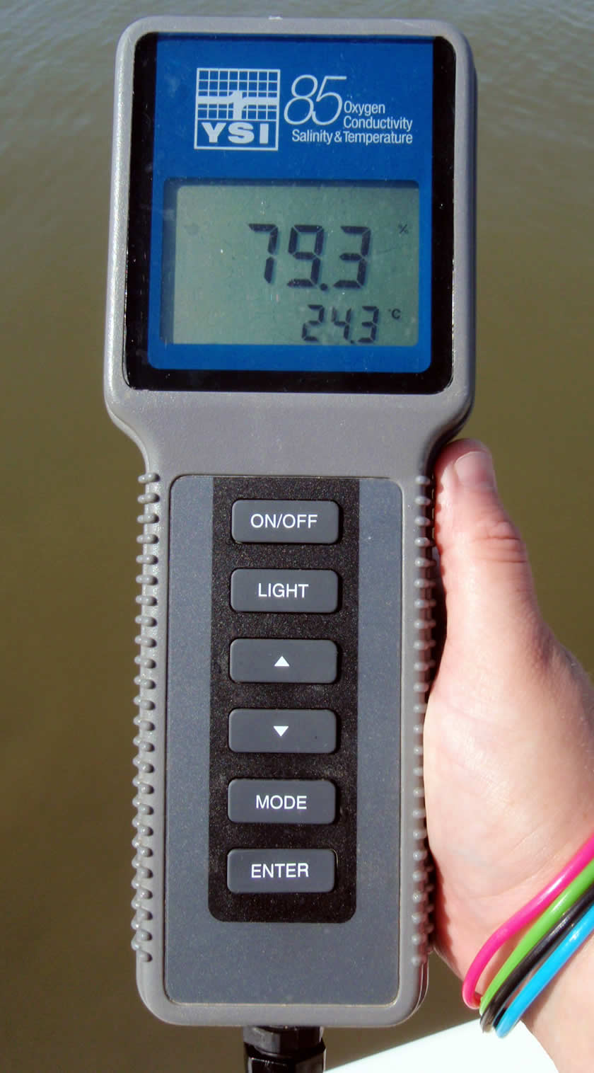 NJDEP| Fish & Wildlife | Delaware Bay Finfish Trawl Survey