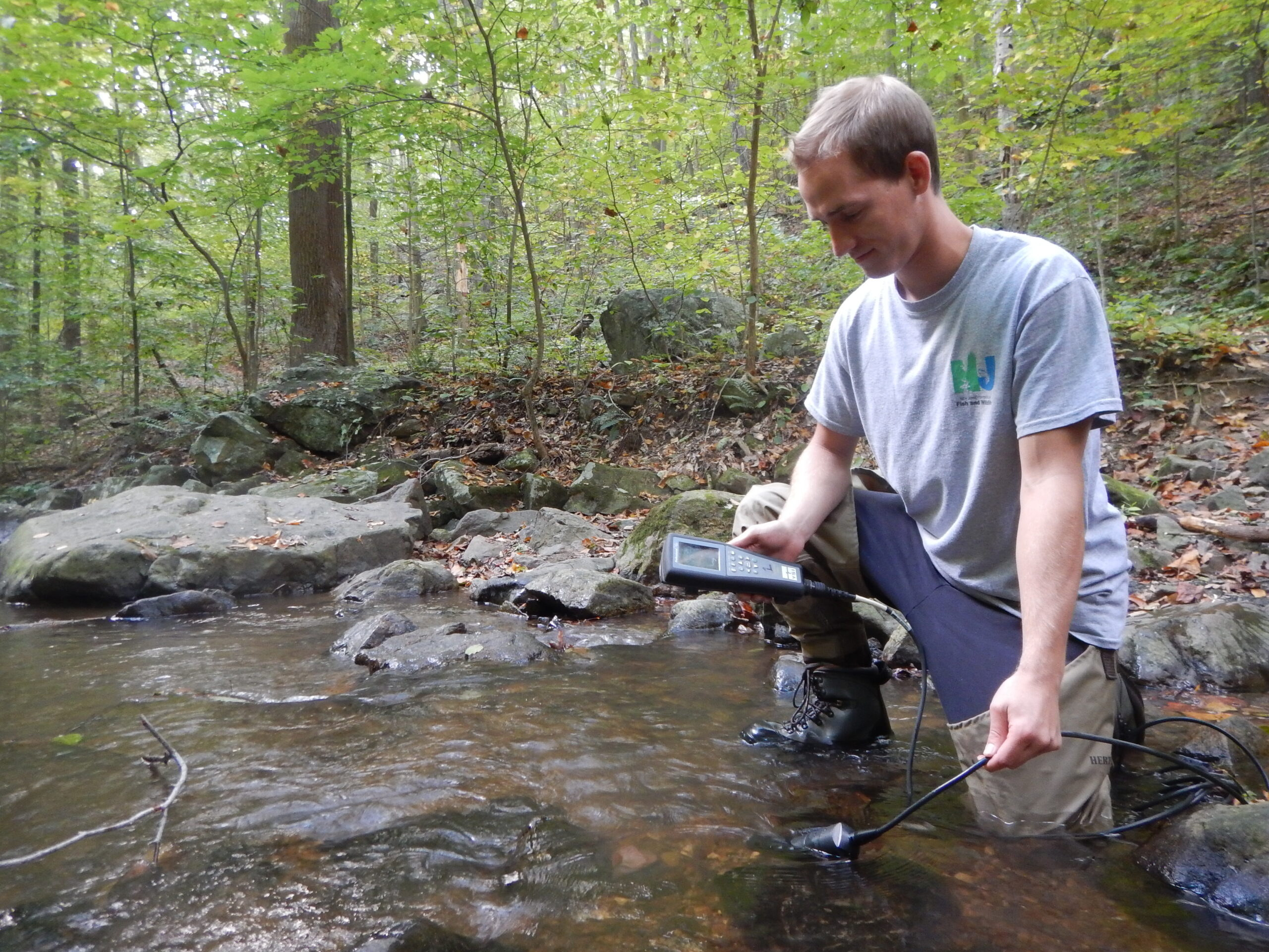 NJDEP| Fish & Wildlife | Habitat Degradation