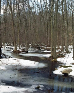 NJDEP| New Jersey Natural Lands Trust | Budd Lake Bog Preserve