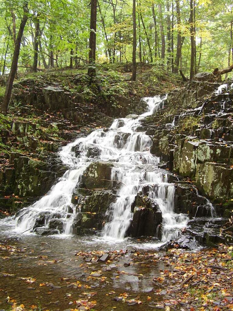 NJDEP| New Jersey Natural Lands Trust | High Mountain Park Preserve
