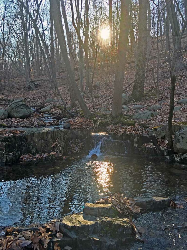 NJDEP| New Jersey Natural Lands Trust | High Mountain Park Preserve