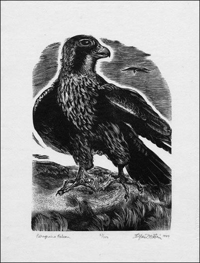 NJDEP| New Jersey Natural Lands Trust | Stefan Martin Prints