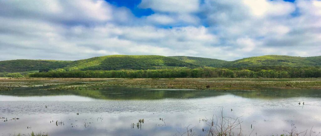 NJDEP| New Jersey Natural Lands Trust | Home