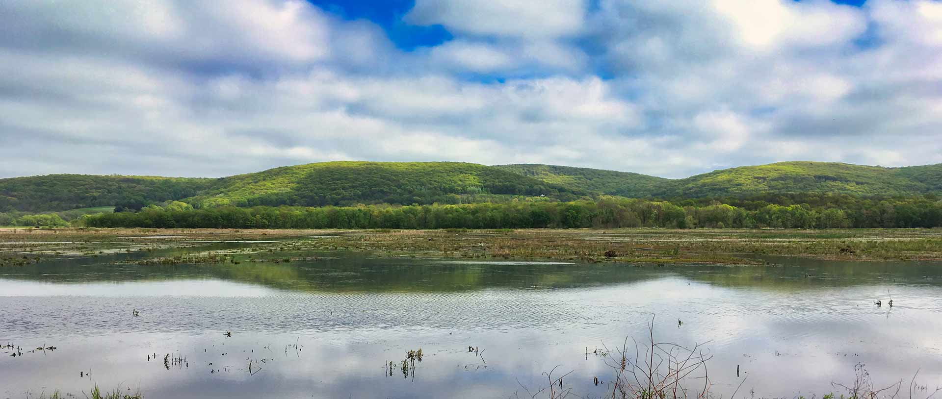 NJDEP| New Jersey Natural Lands Trust | Home