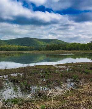 NJDEP| New Jersey Natural Lands Trust | Wallkill Preserve