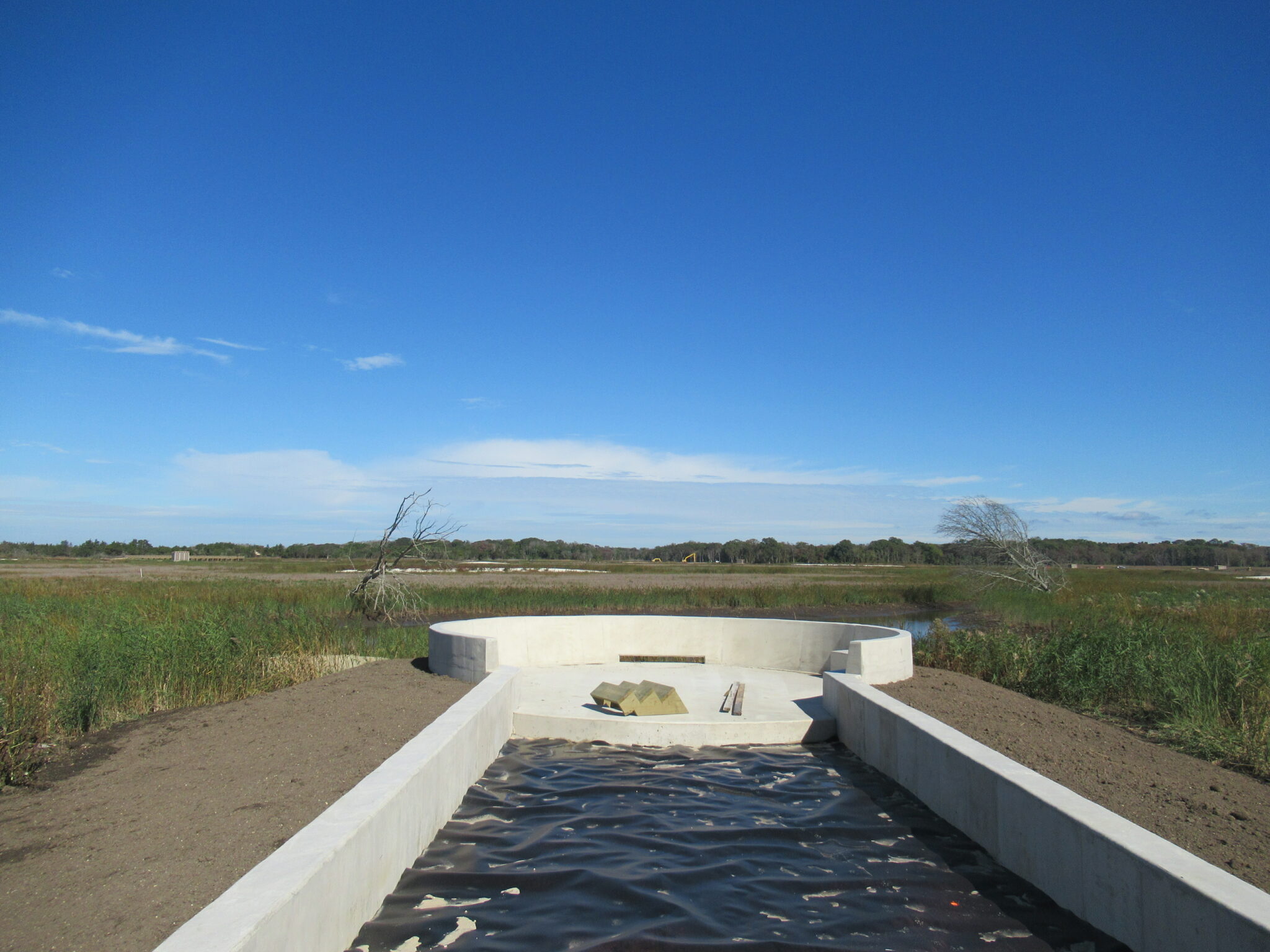NJDEP| Office of Natural Resources Restoration | Higbee Beach Wildlife ...
