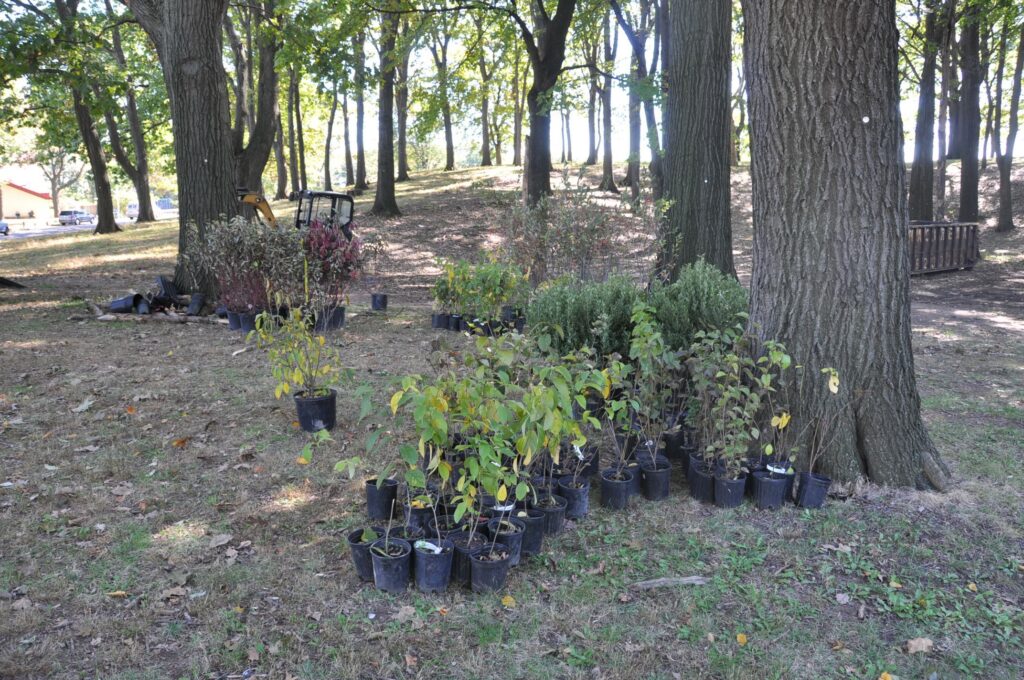 NJDEP| Office of Natural Resources Restoration | Weequahic Park Restoration