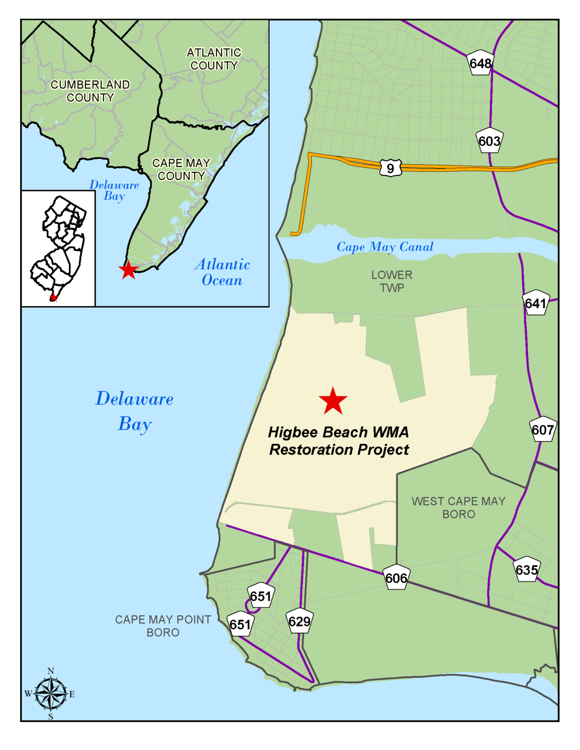 NJDEP| Office of Natural Resources Restoration | Higbee Beach Wildlife ...