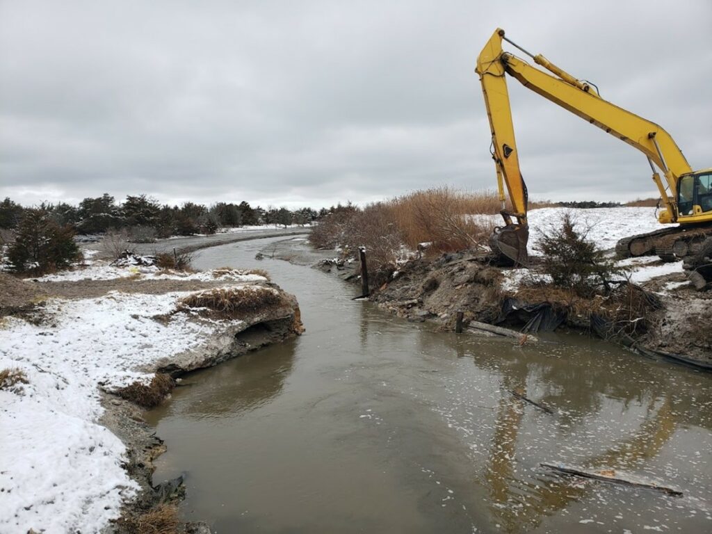 NJDEP| Office of Natural Resources Restoration | Higbee Beach Wildlife ...