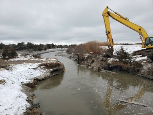 NJDEP| Office of Natural Resources Restoration | Higbee Beach Wildlife ...