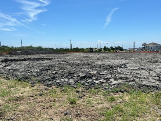 NJDEP| Office of Natural Resources Restoration | Higbee Beach Wildlife ...