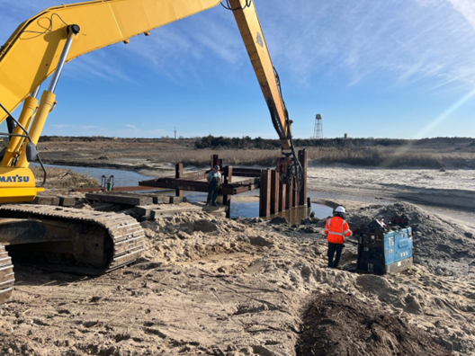 NJDEP| Office of Natural Resources Restoration | Higbee Beach Wildlife ...