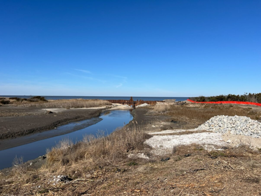 NJDEP| Office of Natural Resources Restoration | Higbee Beach Wildlife ...
