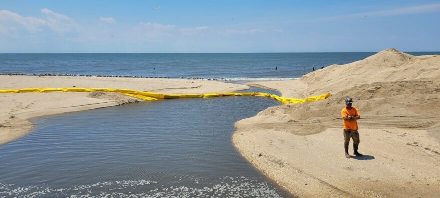 NJDEP| Office of Natural Resources Restoration | Higbee Beach Wildlife ...