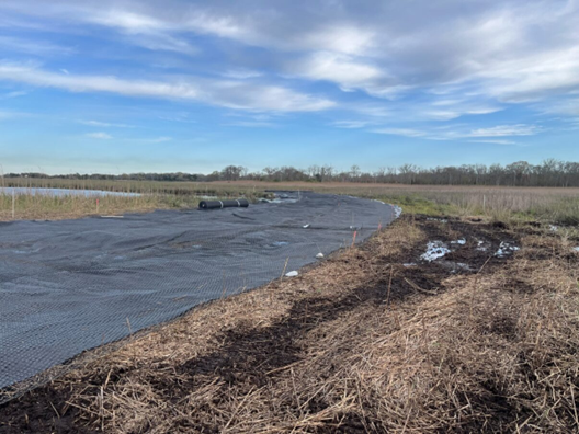 NJDEP| Office of Natural Resources Restoration | Higbee Beach Wildlife ...