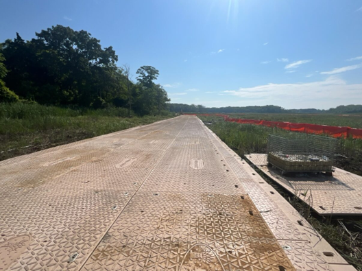 NJDEP| Office of Natural Resources Restoration | Higbee Beach Wildlife ...