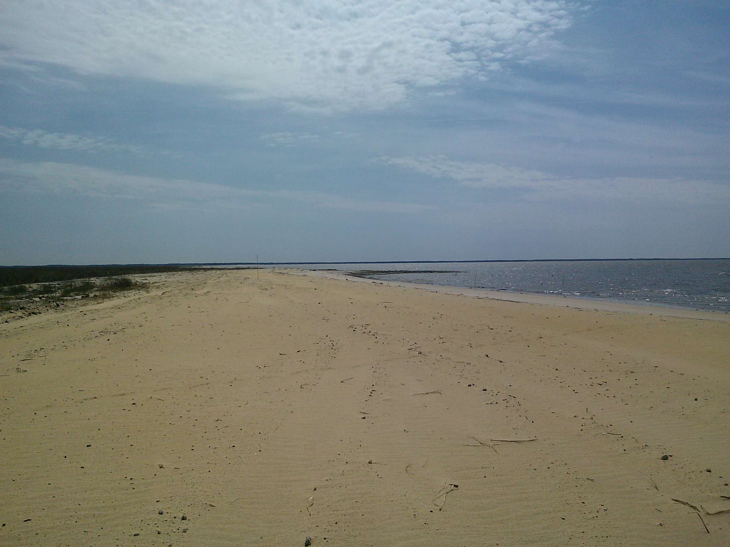 NJDEP| Office of Natural Resources Restoration | Moore's Beach Restoration