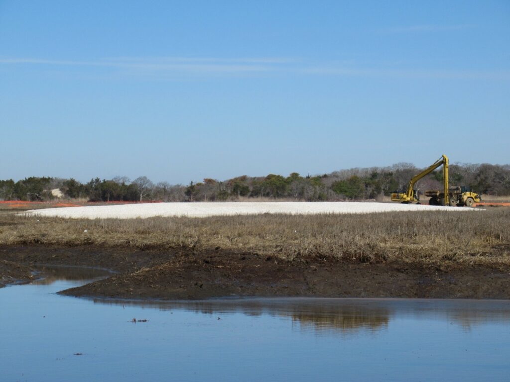 NJDEP| Office of Natural Resources Restoration | Higbee Beach Wildlife ...