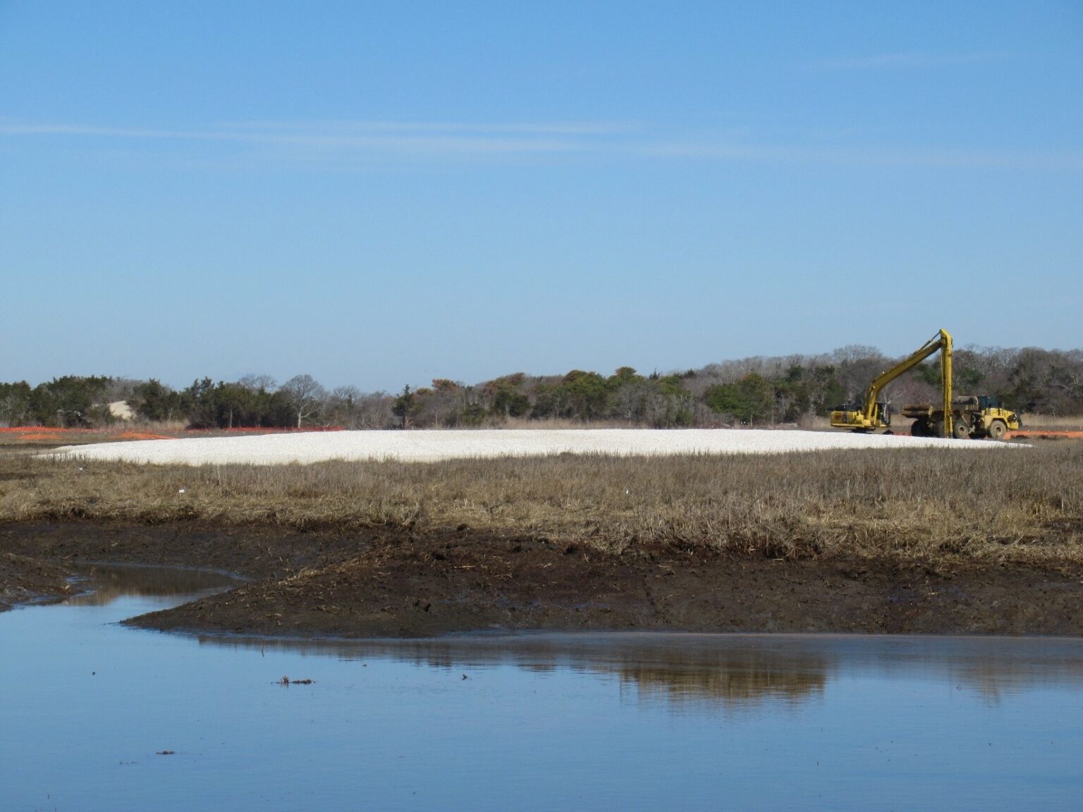 NJDEP| Office of Natural Resources Restoration | Higbee Beach Wildlife ...