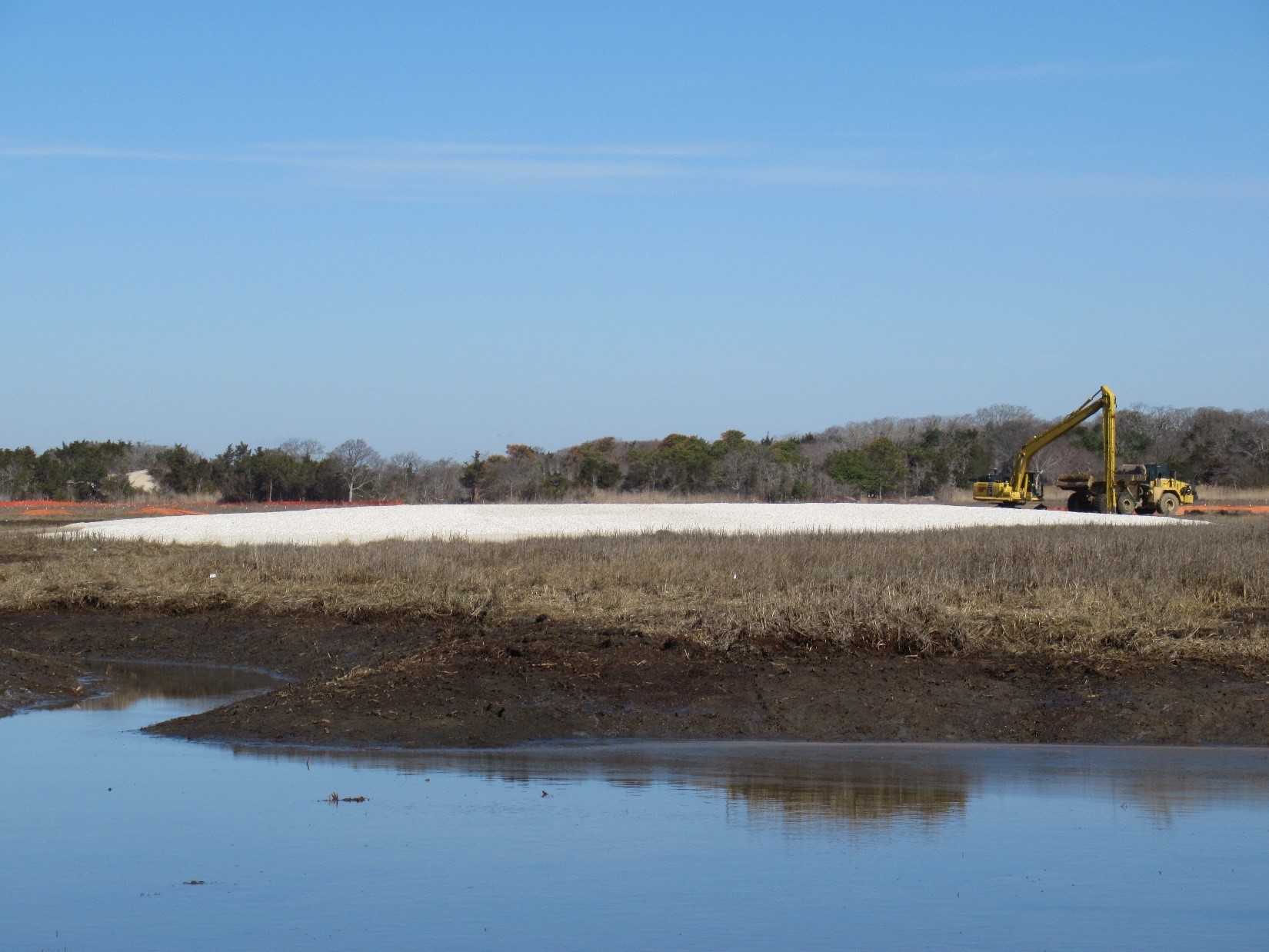 NJDEP| Office of Natural Resources Restoration | Higbee Beach Wildlife ...