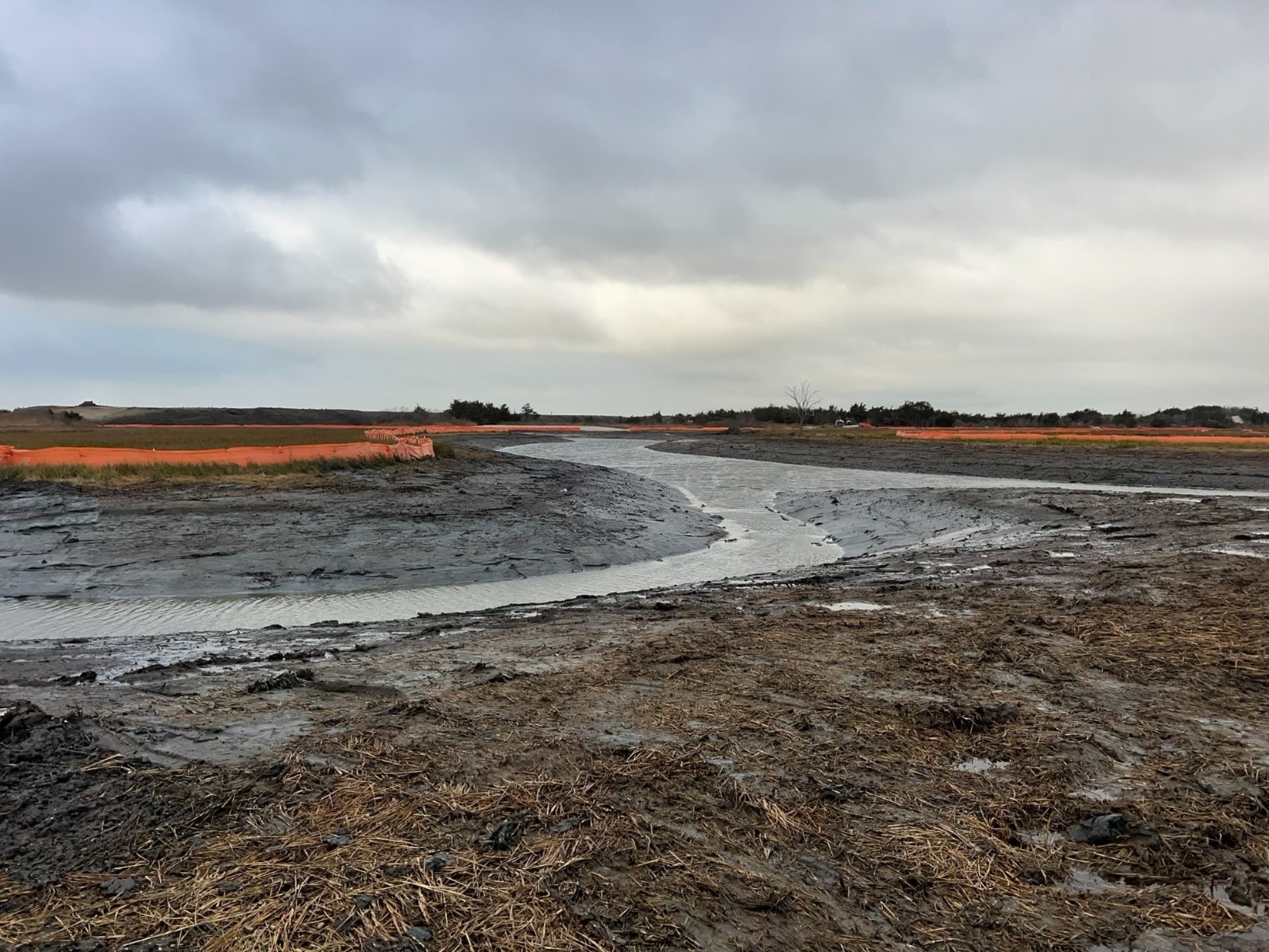 NJDEP| Office of Natural Resources Restoration | Higbee Beach Wildlife ...