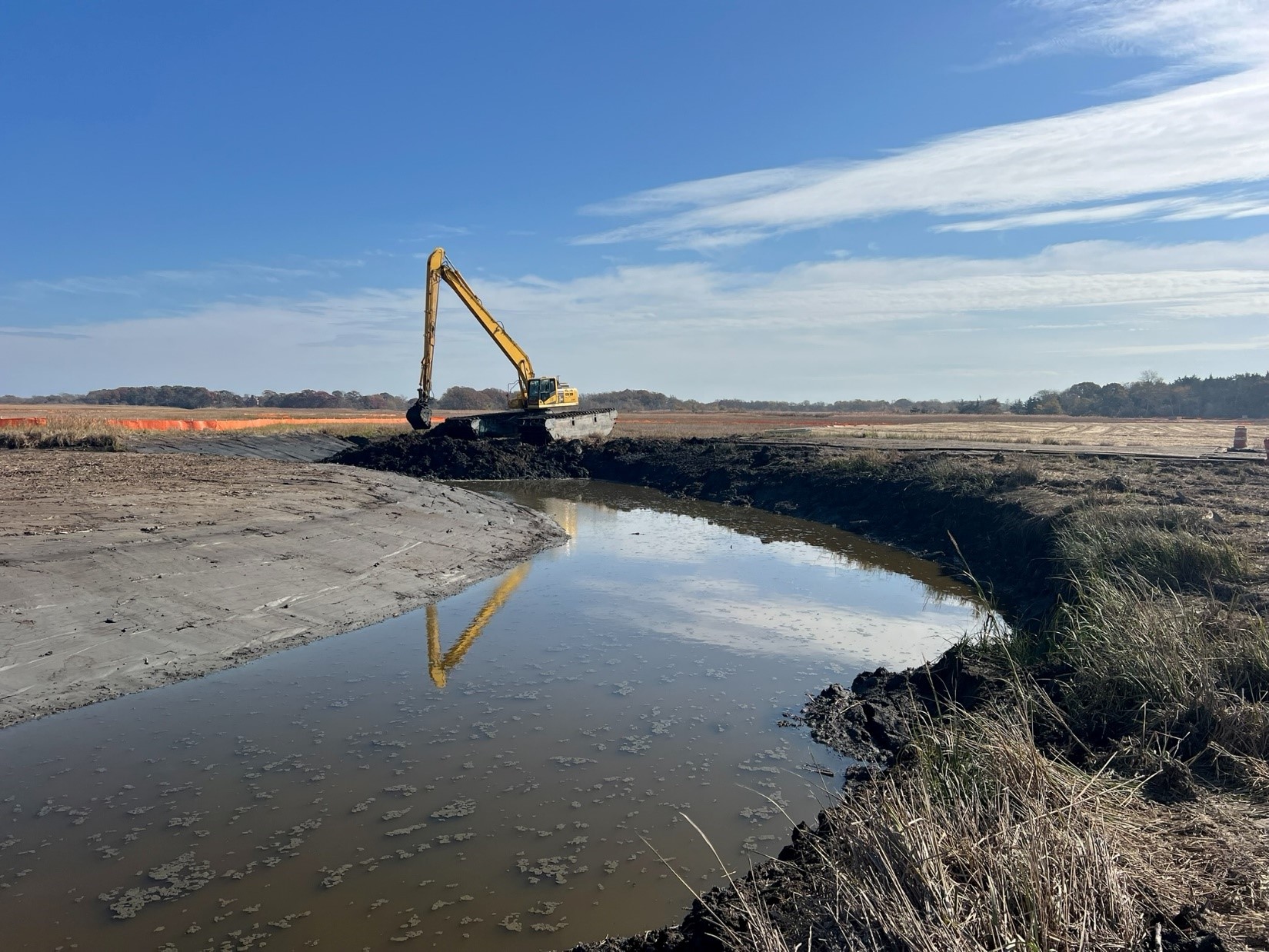 NJDEP| Office of Natural Resources Restoration | Higbee Beach Wildlife ...