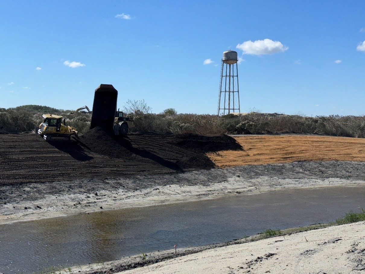 NJDEP| Office of Natural Resources Restoration | Higbee Beach Wildlife ...