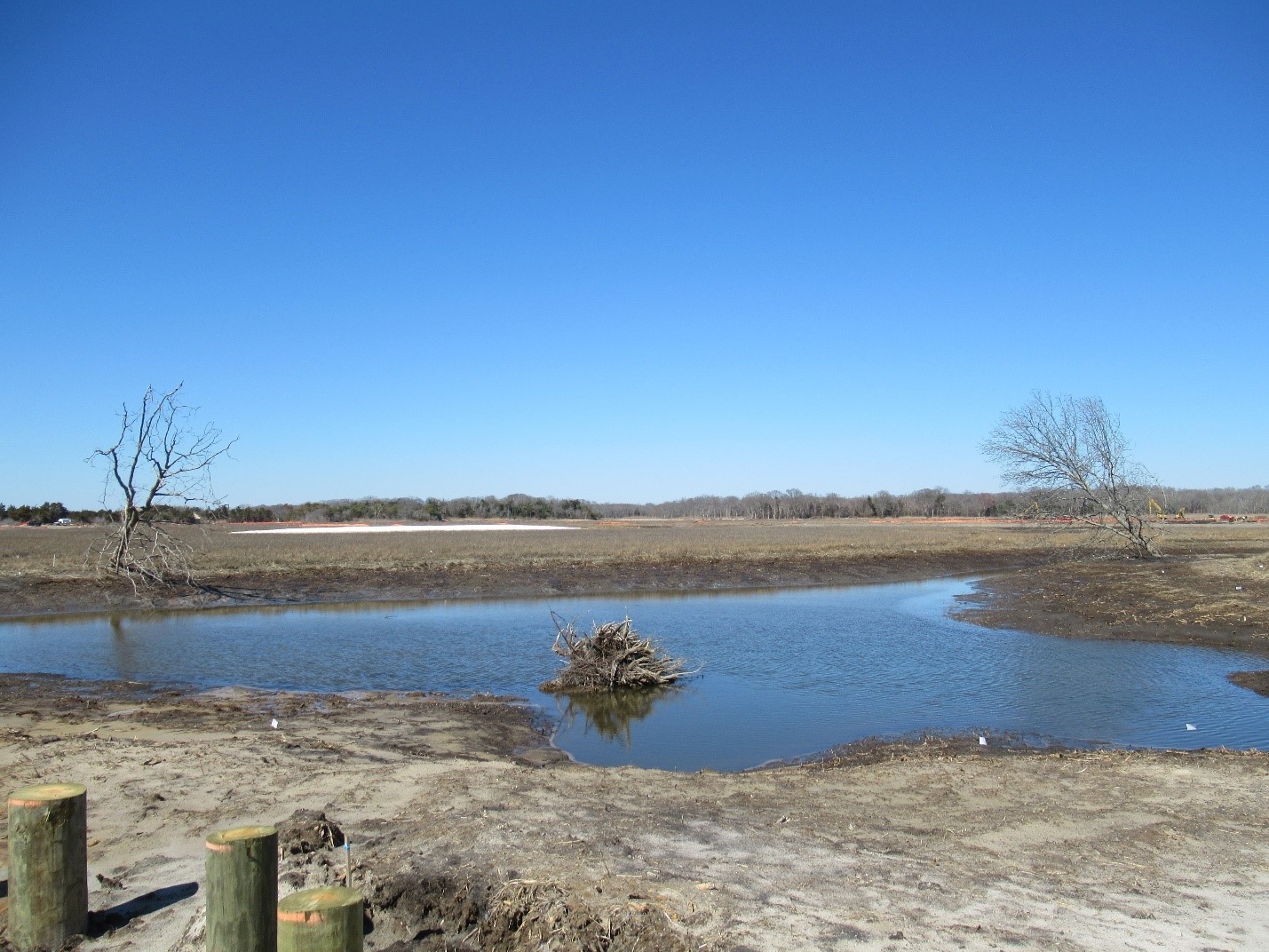 NJDEP| Office of Natural Resources Restoration | Higbee Beach Wildlife ...