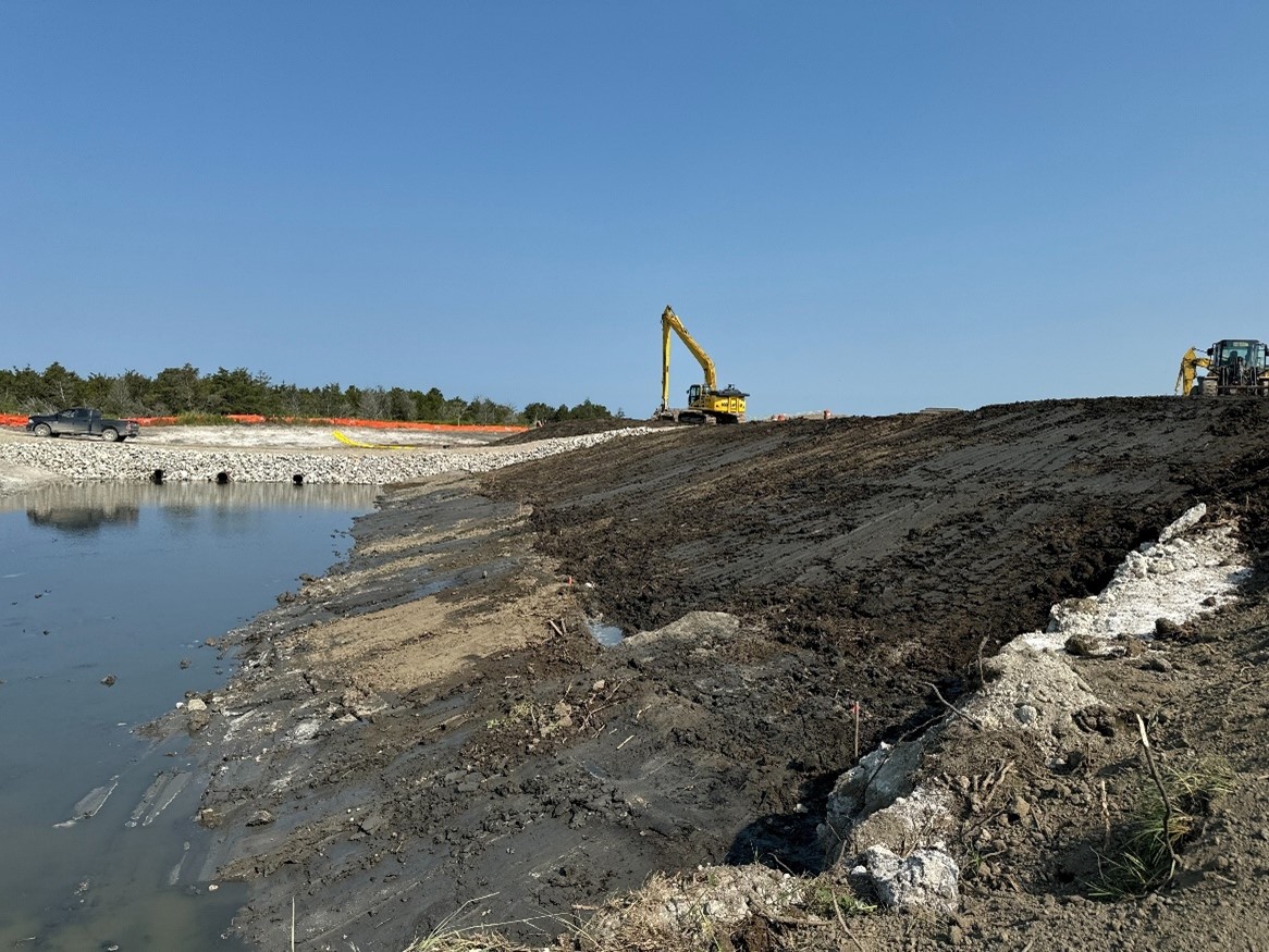 NJDEP| Office of Natural Resources Restoration | Higbee Beach Wildlife ...