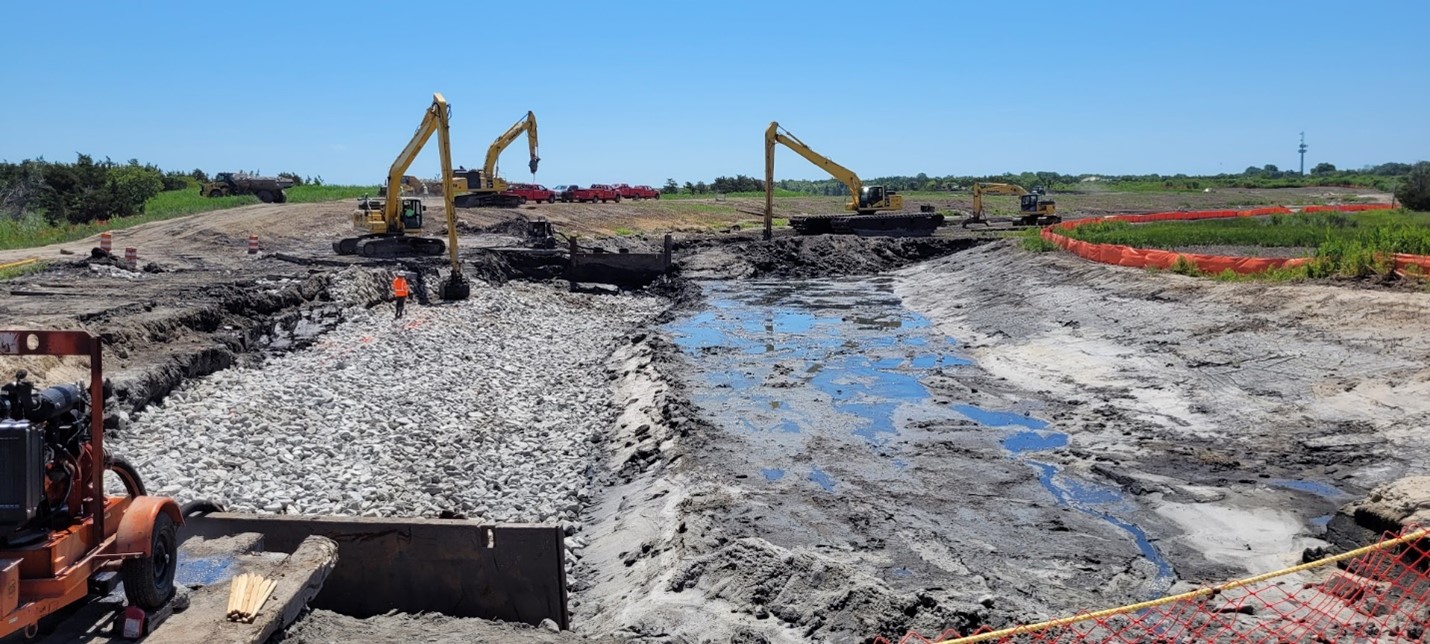 NJDEP| Office of Natural Resources Restoration | Higbee Beach Wildlife ...