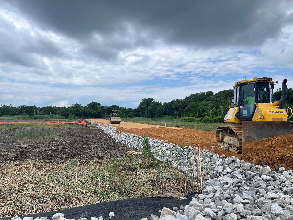 NJDEP| Office of Natural Resources Restoration | Higbee Beach Wildlife ...