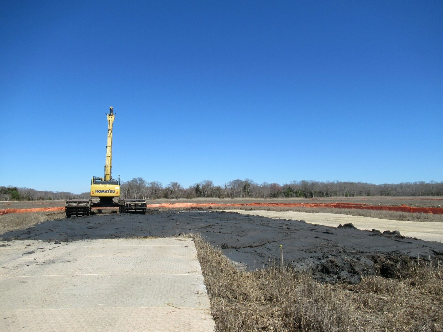 NJDEP| Office of Natural Resources Restoration | Higbee Beach Wildlife ...
