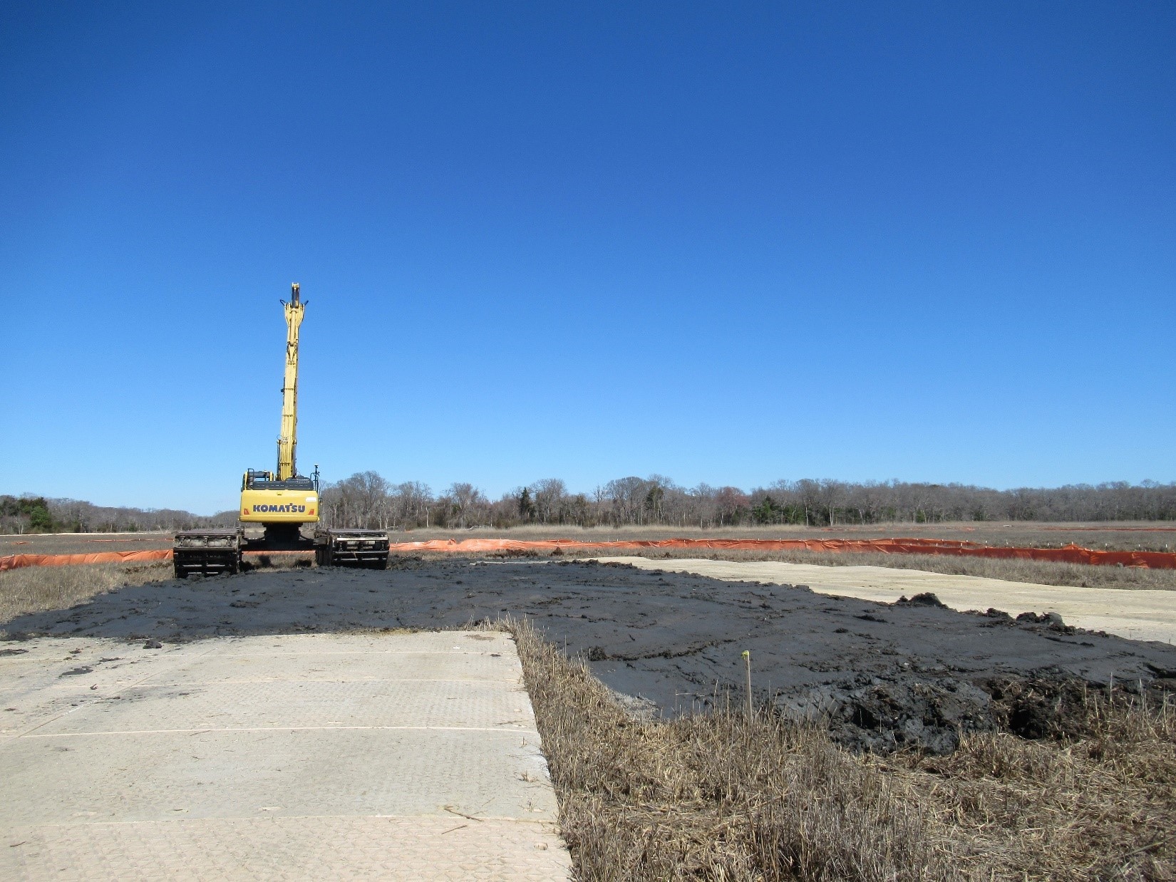 NJDEP| Office of Natural Resources Restoration | Higbee Beach Wildlife ...