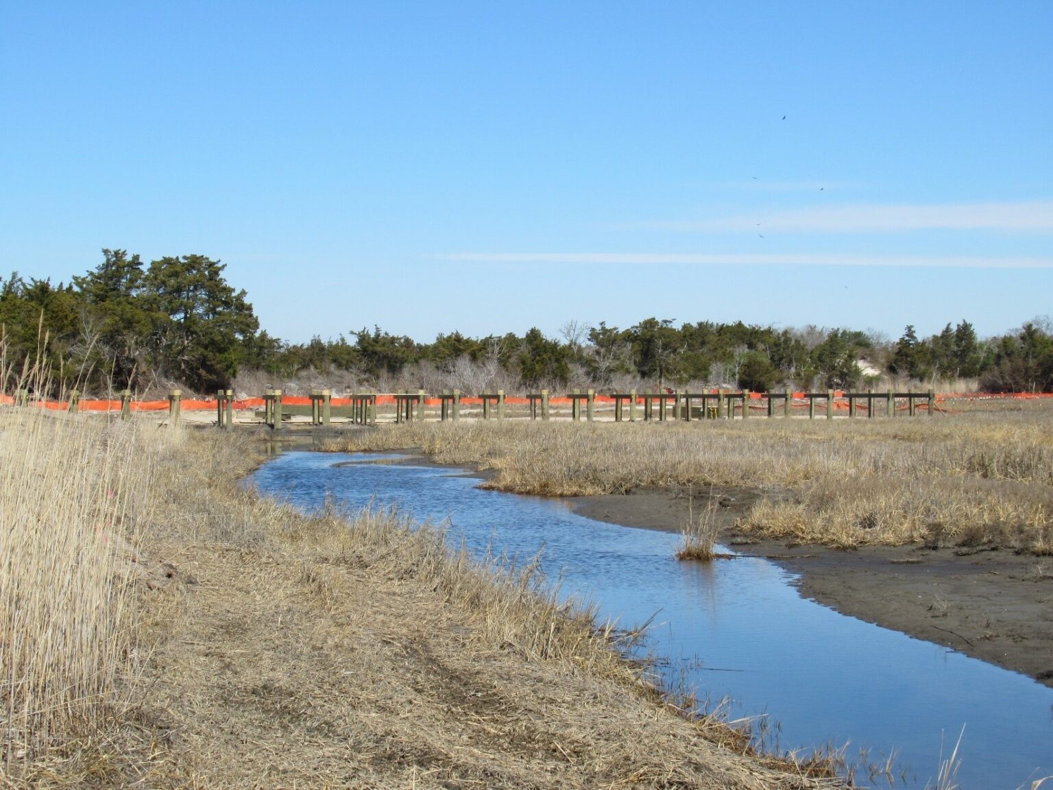 NJDEP| Office of Natural Resources Restoration | Higbee Beach Wildlife ...