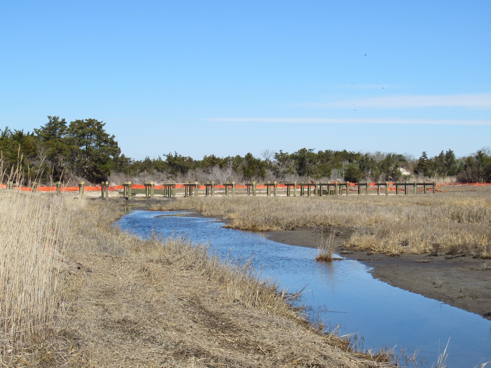 NJDEP| Office of Natural Resources Restoration | Higbee Beach Wildlife ...