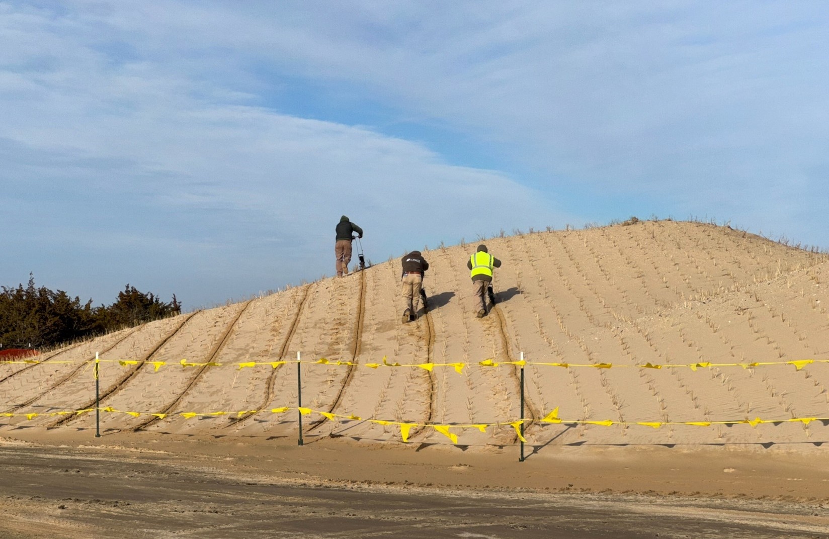 NJDEP| Office of Natural Resources Restoration | Higbee Beach Wildlife ...