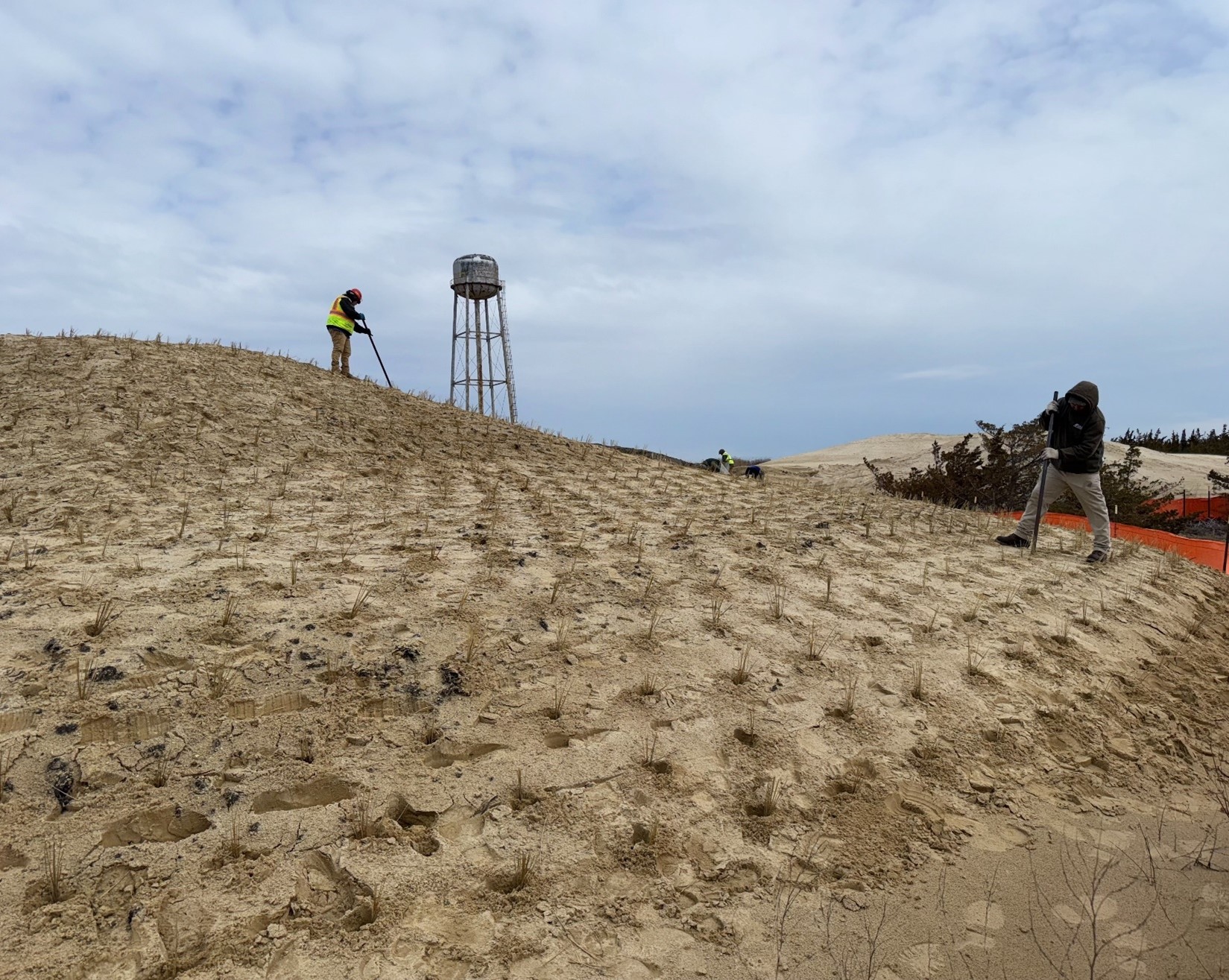 NJDEP| Office of Natural Resources Restoration | Higbee Beach Wildlife ...