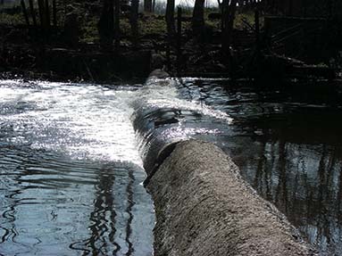 NJDEP| Office of Natural Resources Restoration | Weston Mill Dam Removal