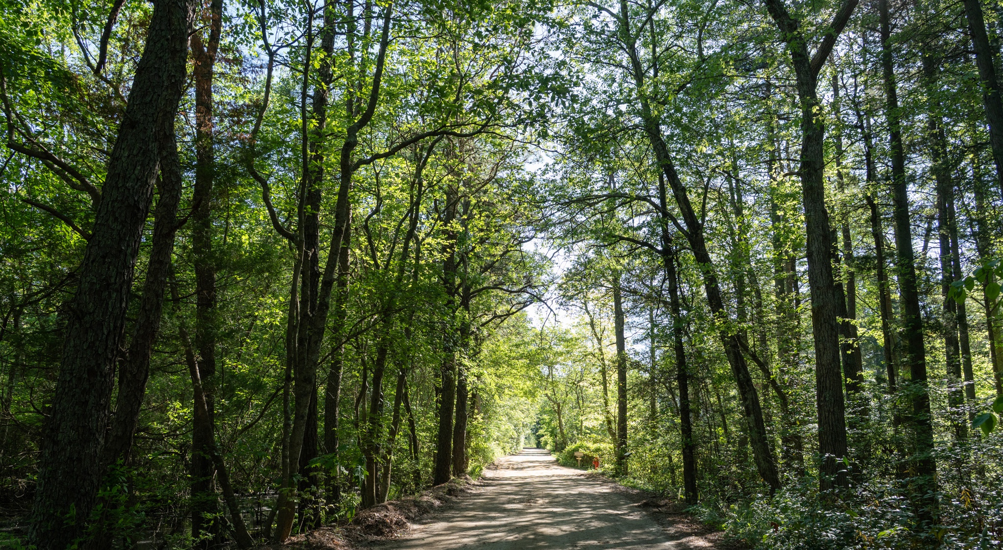 Contact Us - State Parks, Forests & Historic Sites