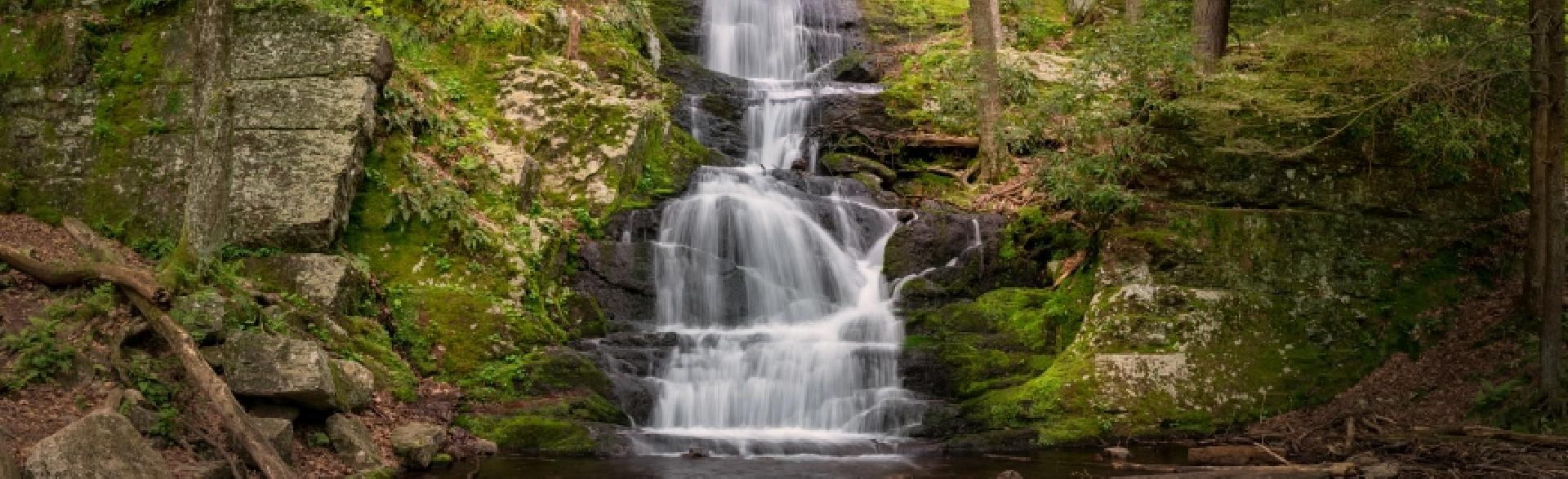 Jobs - State Parks, Forests & Historic Sites