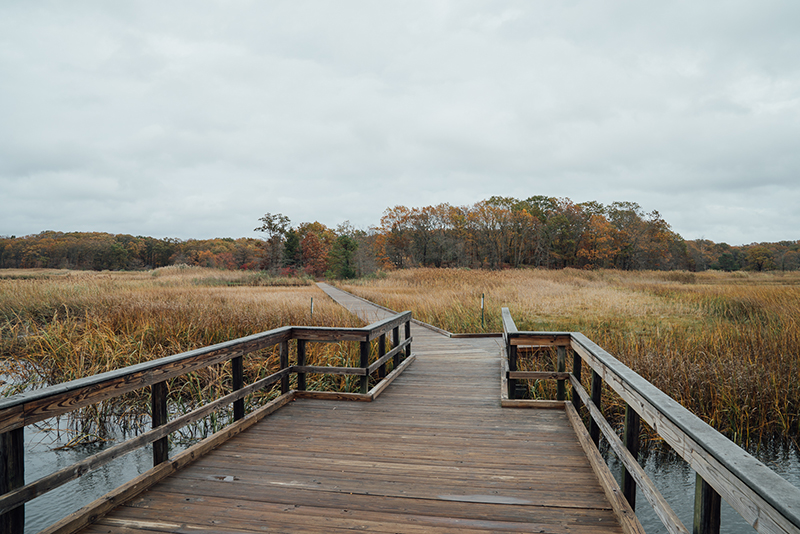 Cheesequake State Park - State Parks, Forests & Historic Sites