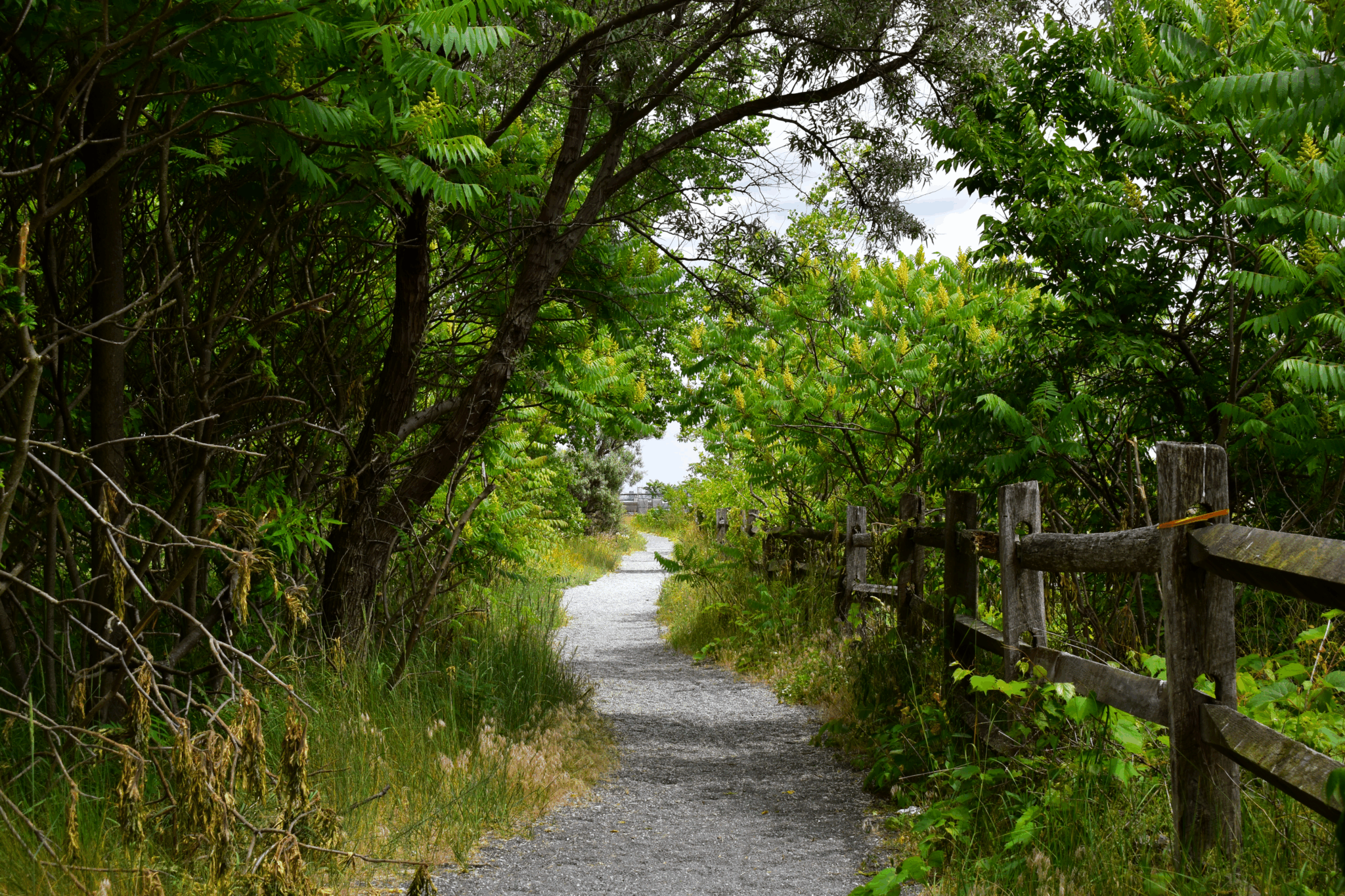Liberty State Park - State Parks, Forests & Historic Sites