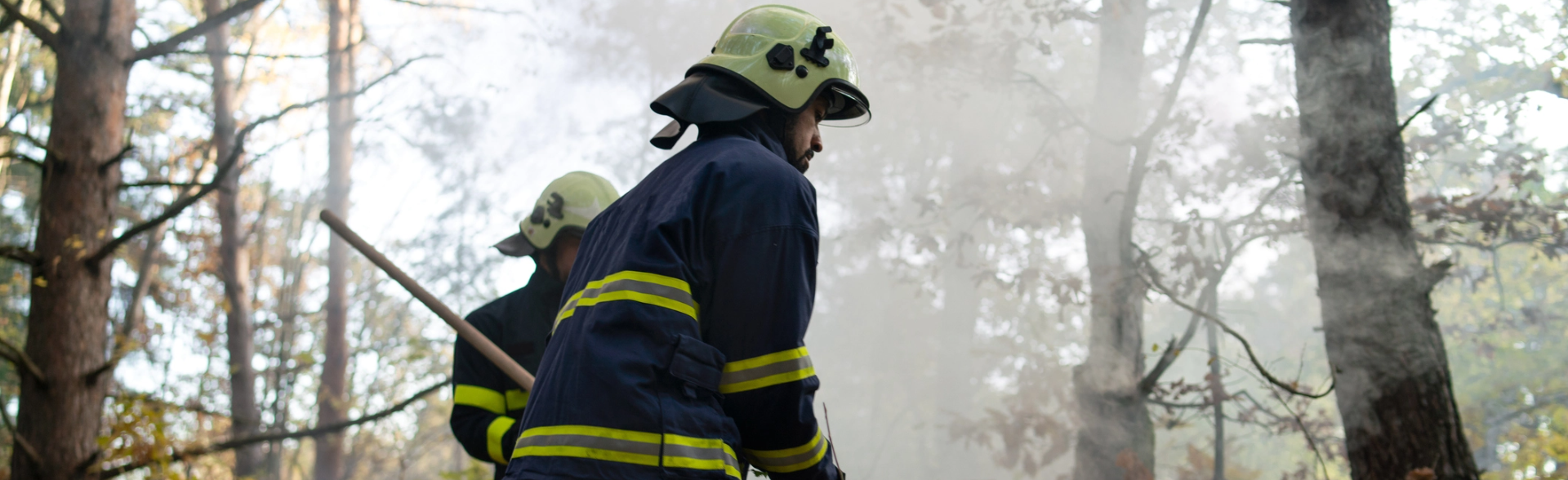 Wildfire - State Parks, Forests & Historic Sites