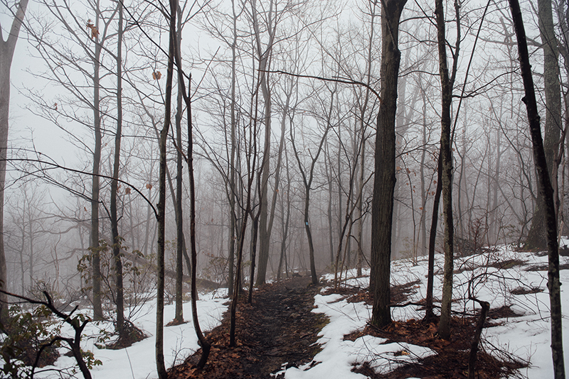 Norvin Green State Forest - State Parks, Forests & Historic Sites