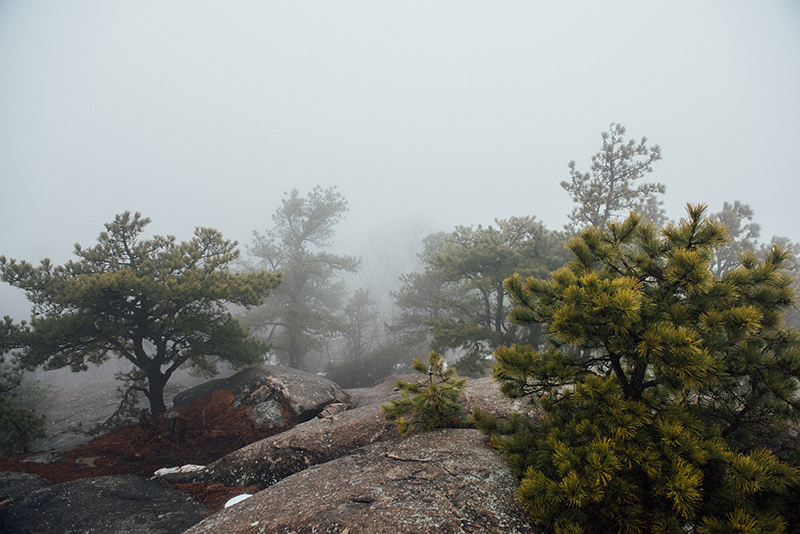 Norvin Green State Forest - State Parks, Forests & Historic Sites