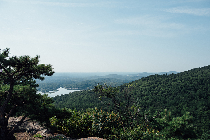 Norvin Green State Forest - State Parks, Forests & Historic Sites