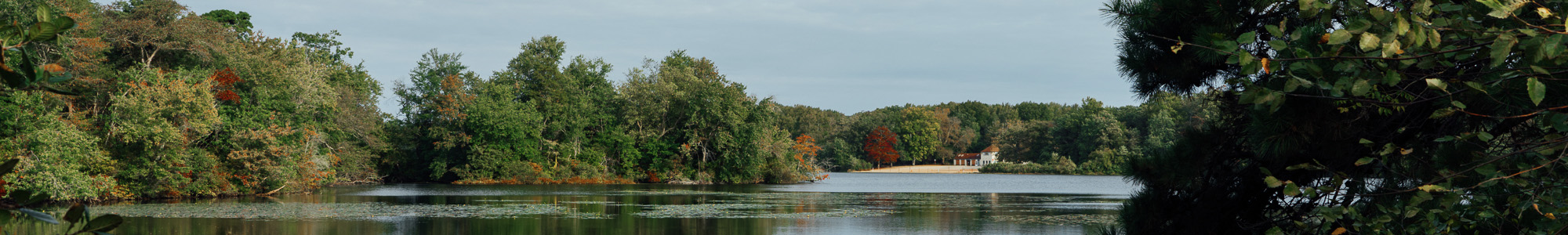 Parvin State Park - State Parks, Forests & Historic Sites